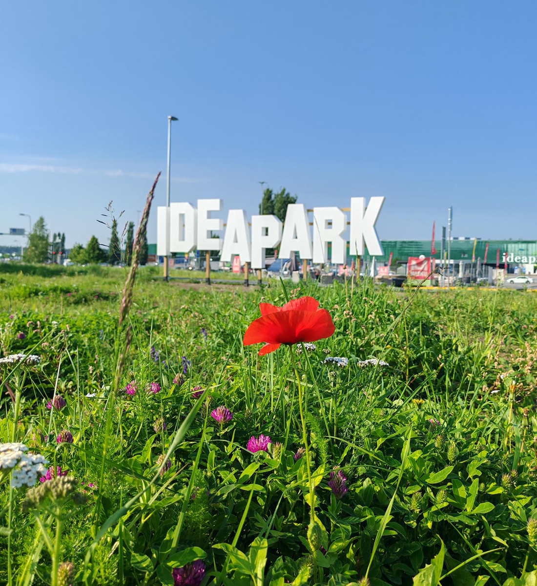 Ideapark rikastuttamassa luonnon monimuotoisuutta! - Ideapark Lempäälä